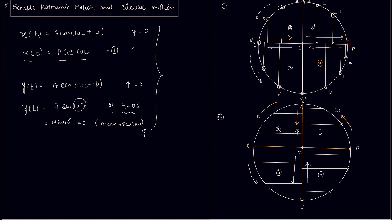 S H M and Projection of Circular motion - YouTube