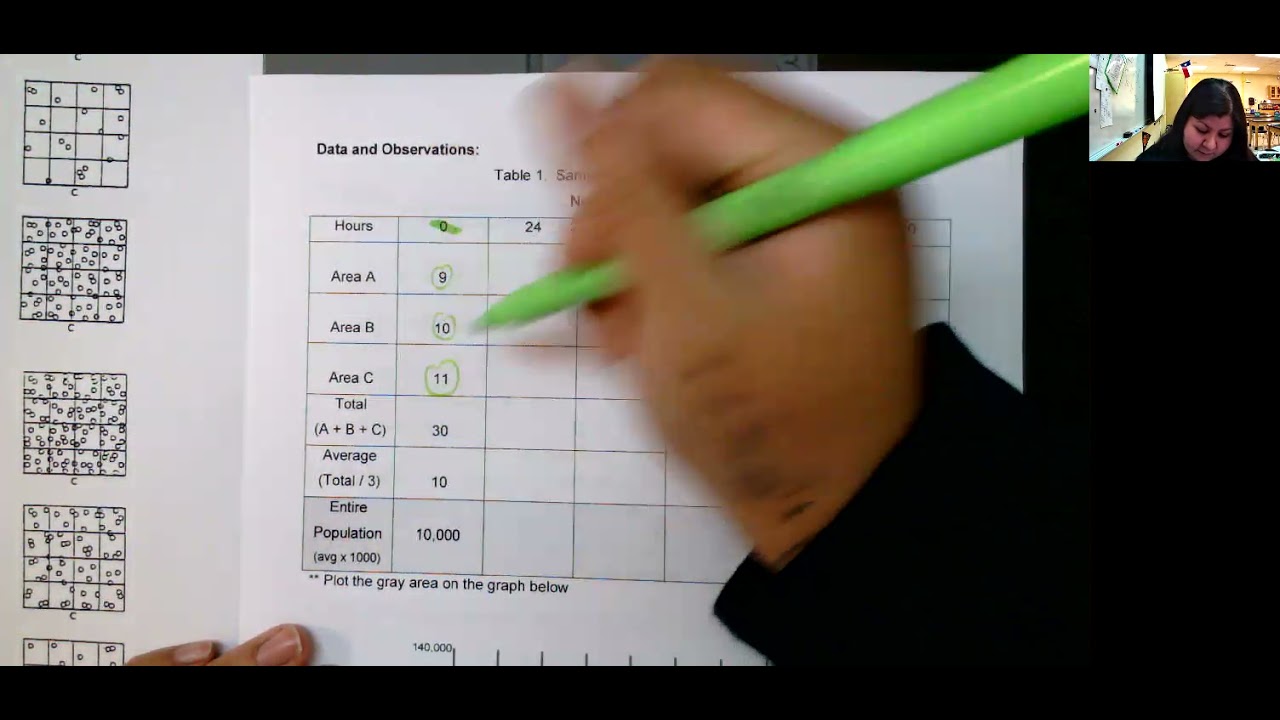 Yeast Population Lab Instructions - YouTube