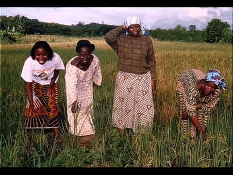 Wedji ped & DJIN'S MUSIC Exode rurale - YouTube