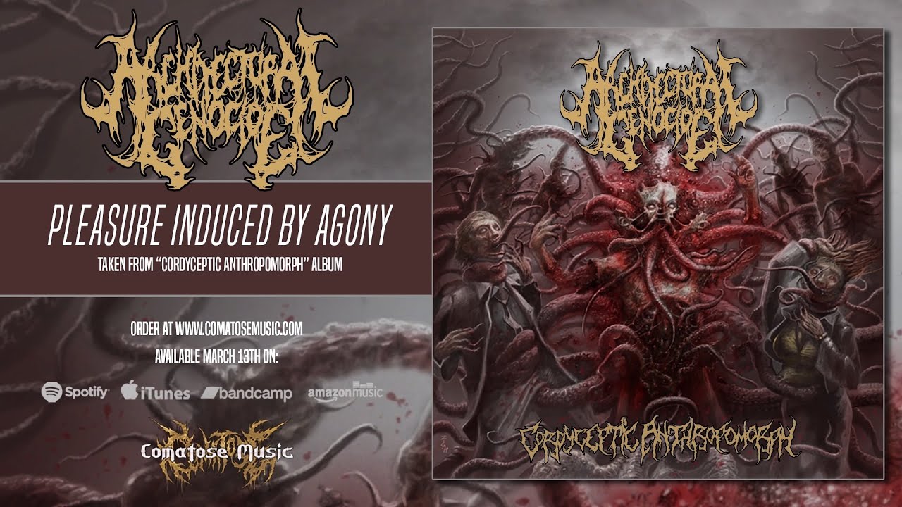 ARCHITECTURAL GENOCIDE - PLEASURE INDUCED BY AGONY [SINGLE] (2020) SW ...