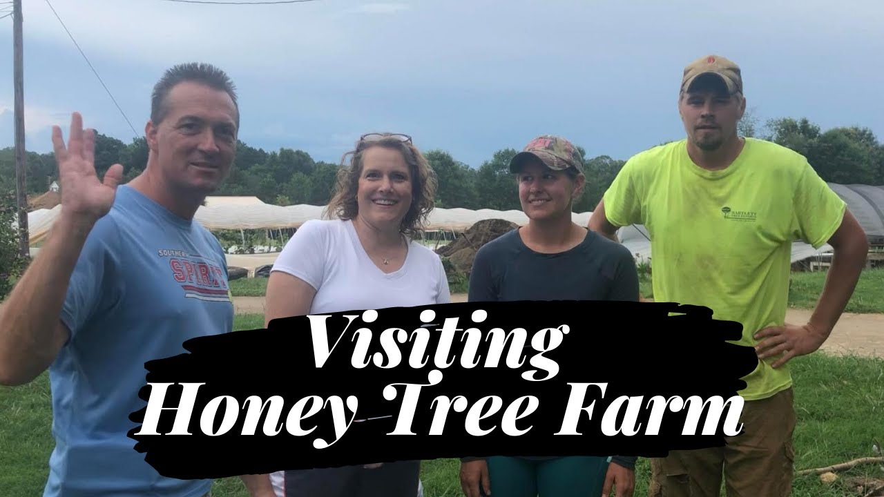 Visiting Honey Tree Farm - YouTube