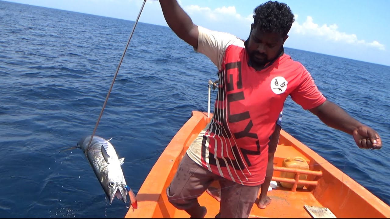 Epic Offshore KINGFISH catching in Speed Trolling - YouTube