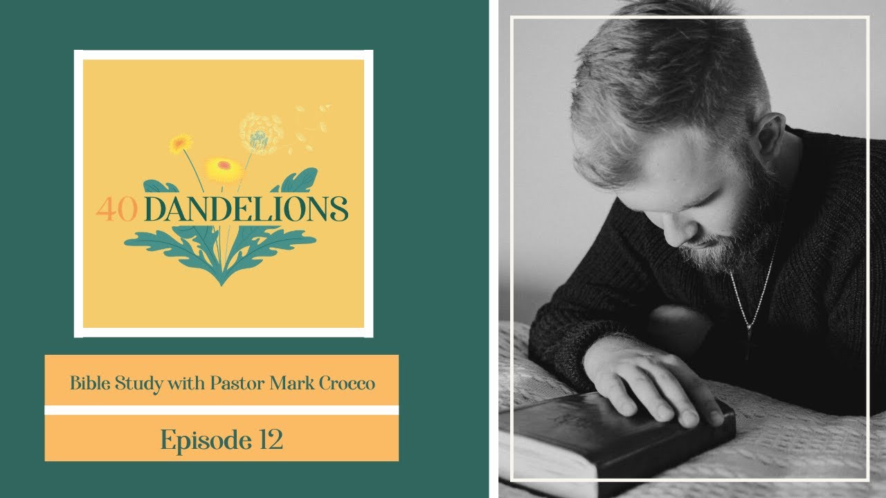 Luke Bible Study | Chapter 12 | Pastor Mark Crocco - YouTube