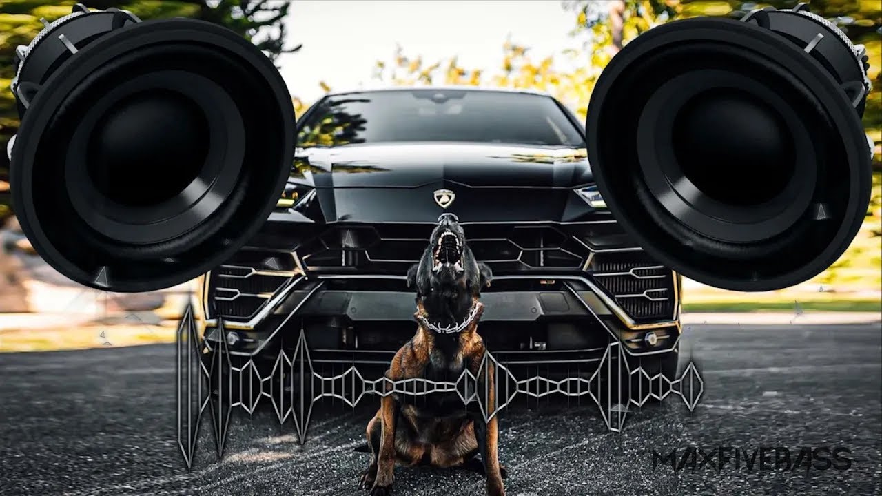 Big Dog (BASS BOOSTED) - YouTube