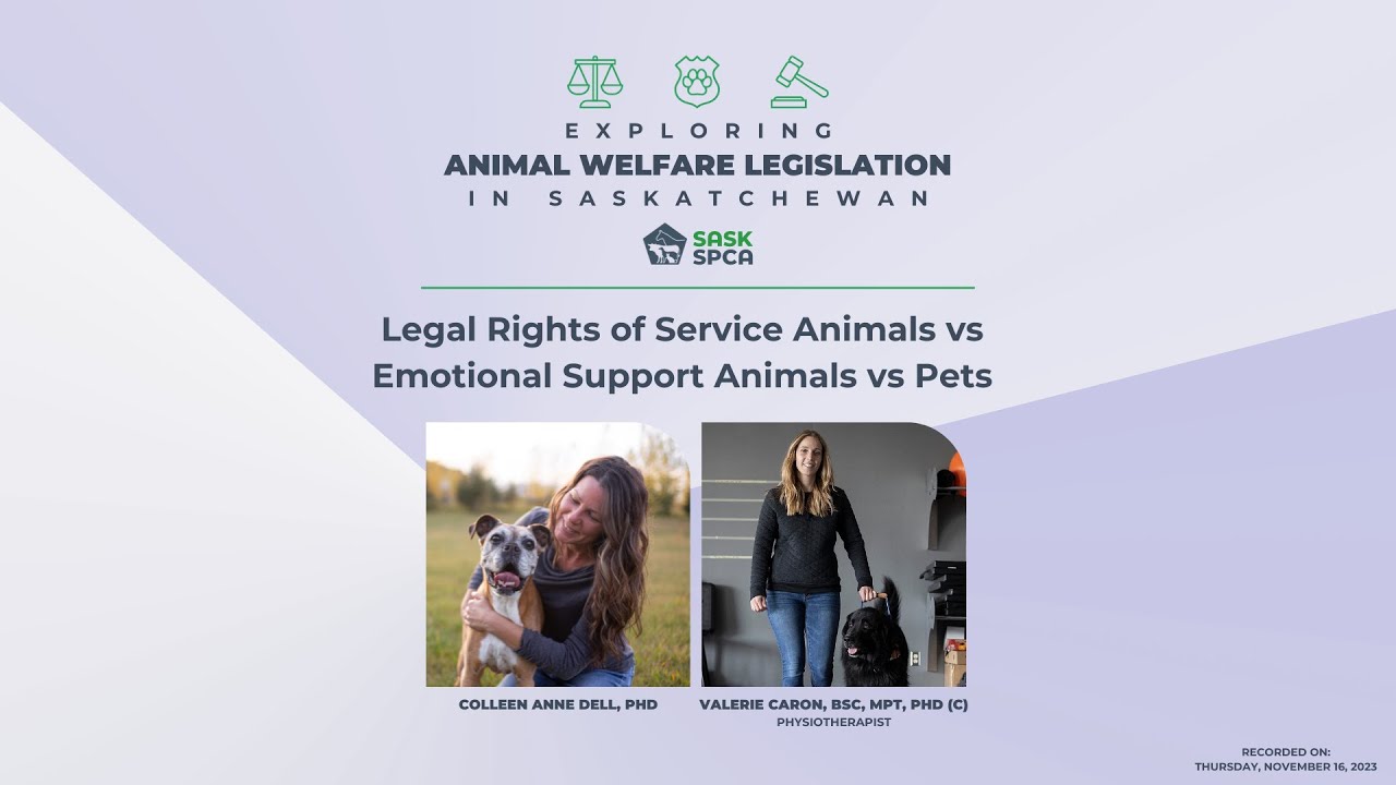 Exploring Animal Welfare Legislation in Sask: Service Animals ...