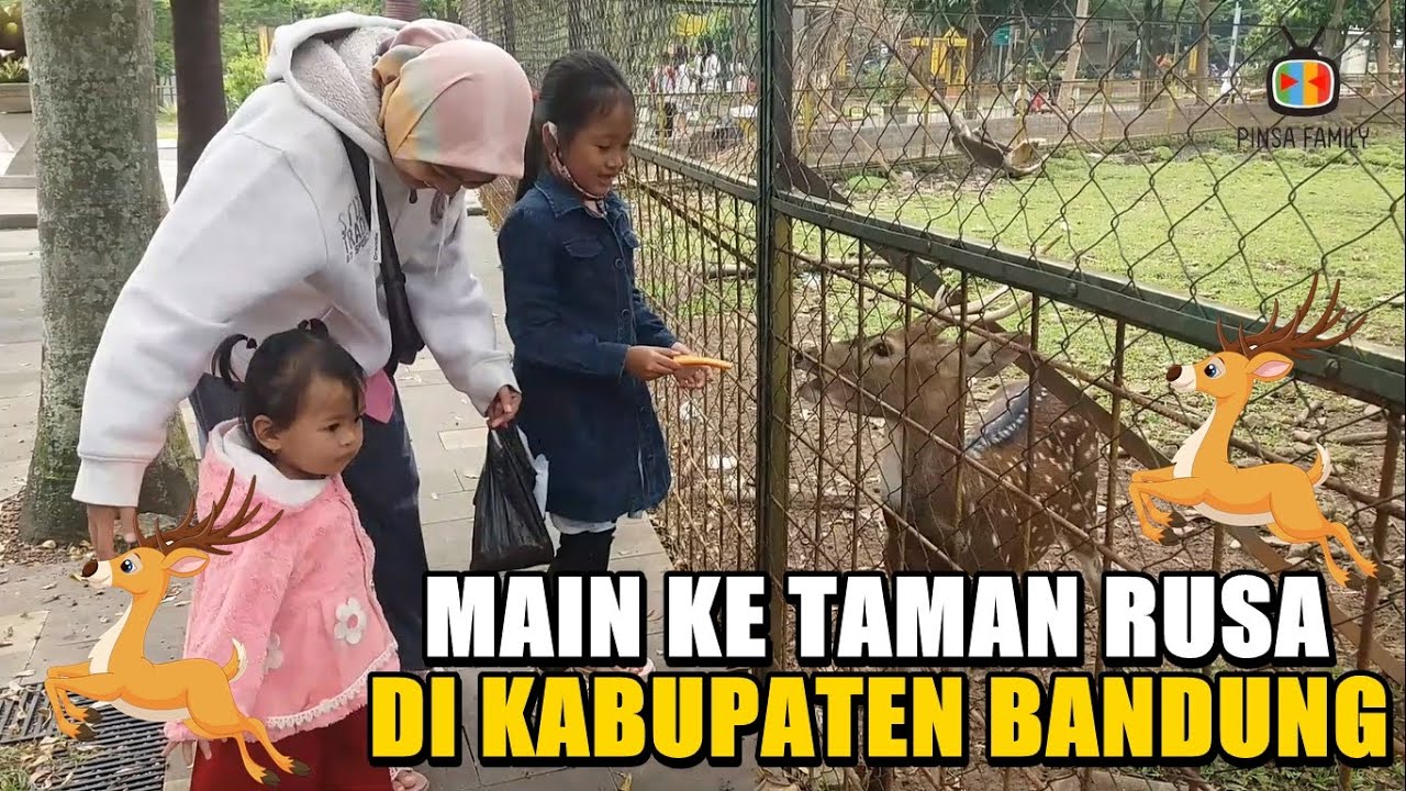 BERMAIN KE TAMAN RUSA DI KABUPATEN BANDUNG, playing to the deer park in ...