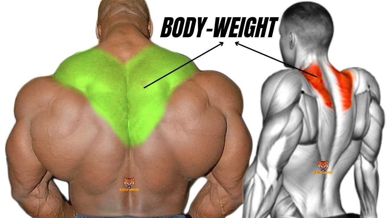 TRAPS WORKOUT- 5 BEST EXERCISES WITH BODY-WEIGHT - YouTube