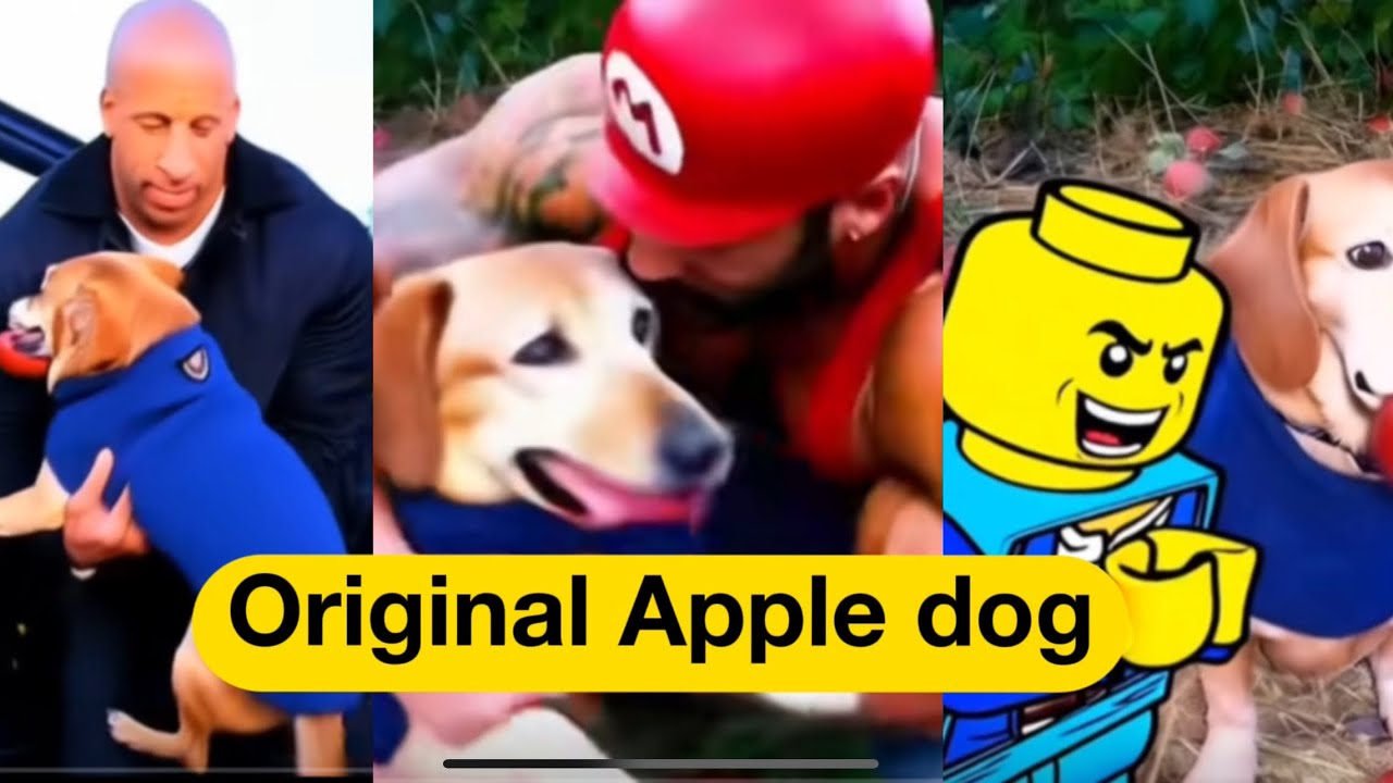 Original Apple Dog Compilation - YouTube