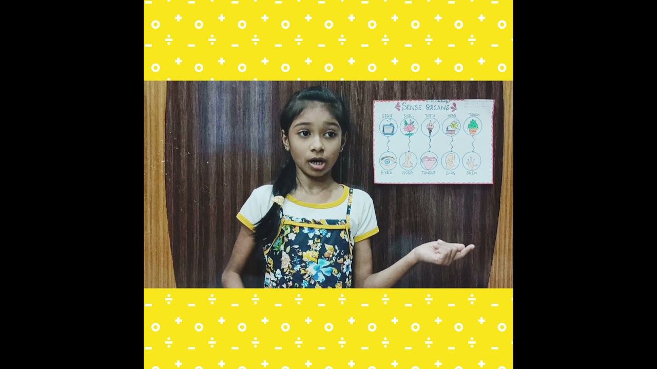 About 5 Sense Organs And Their Functions YouTube about-5-sense-organs-and-their-functions-youtube
