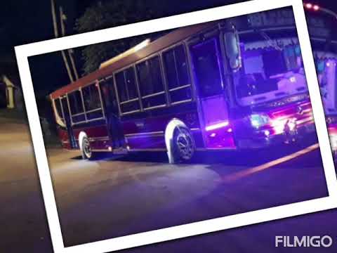 El famoso 233 de la Linea 181!!! #ElPonyBus !!! - YouTube