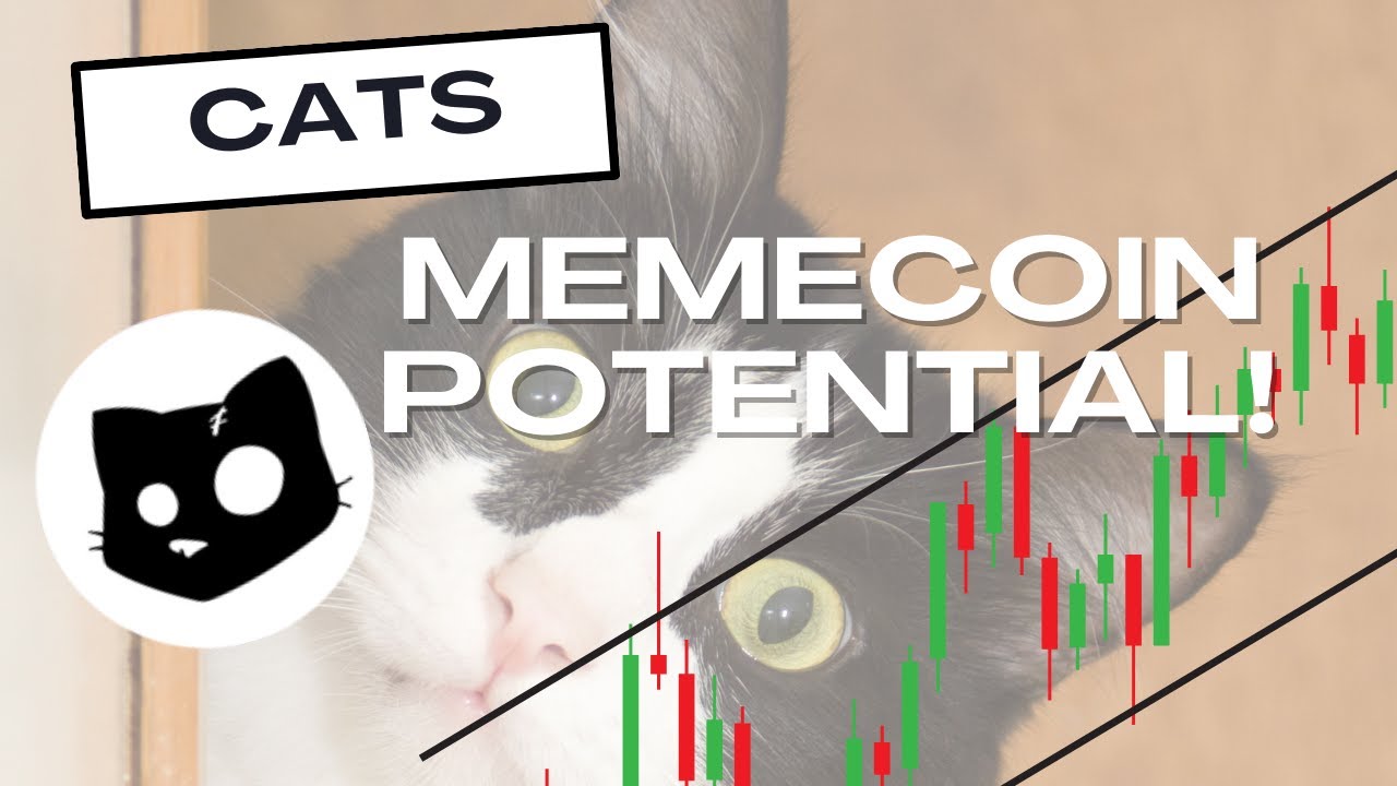 Analyzing CATS Coin 🚀 | Price Performance & Where to Buy CATS Today ...