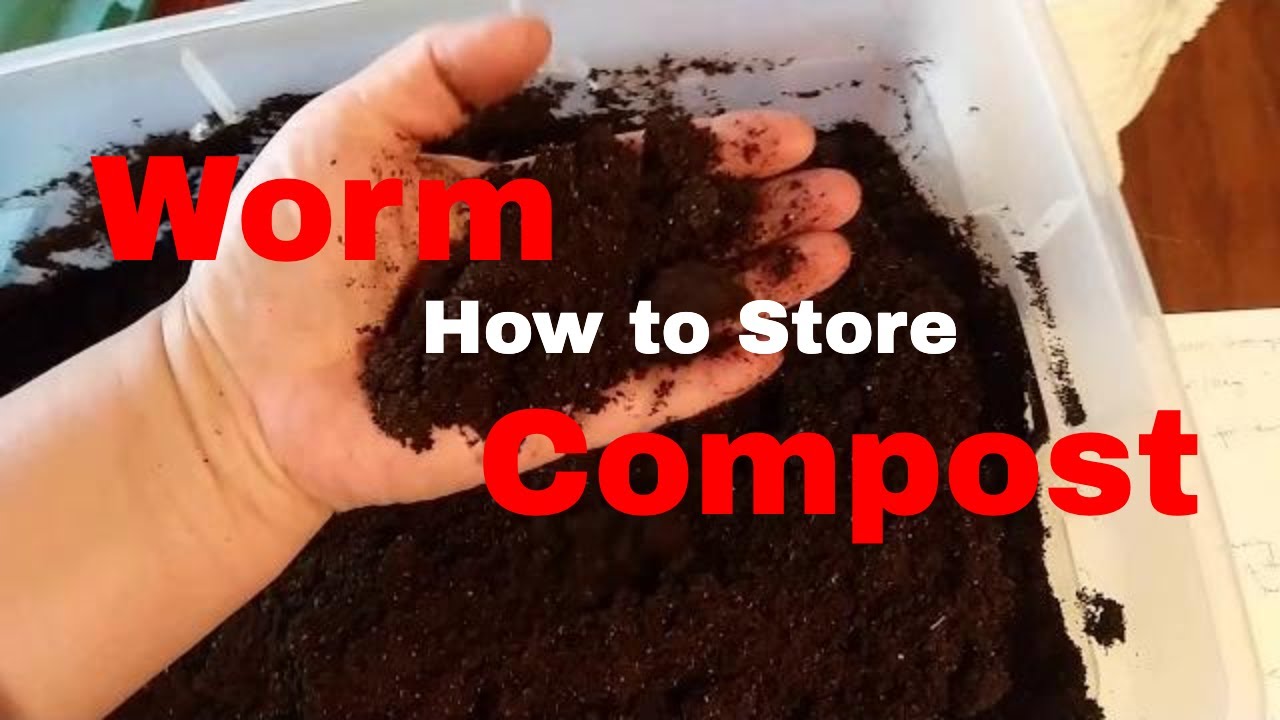 How to Store Worm Cast Vermicompost - A Simple Technique - YouTube