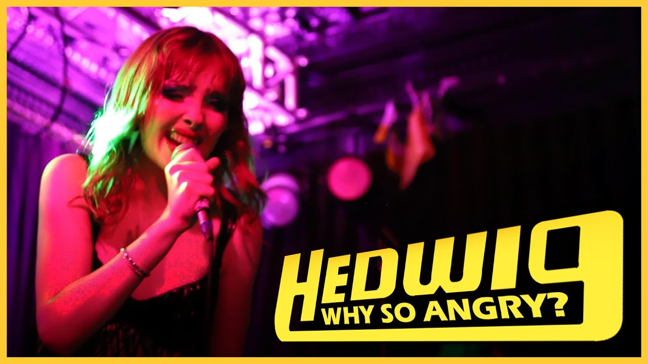HEDWIG: Why So Angry? (Live) - YouTube