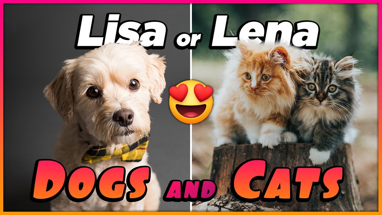 Lisa or Lena - Dogs and Cats [Cães e Gatos] - YouTube