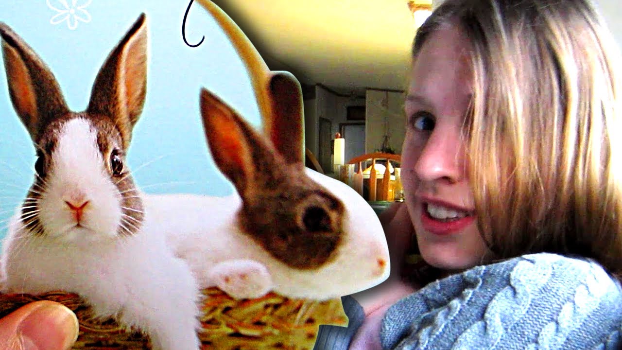 We're Pretty Bunnies (Day 1608 - 4/20/14) - YouTube