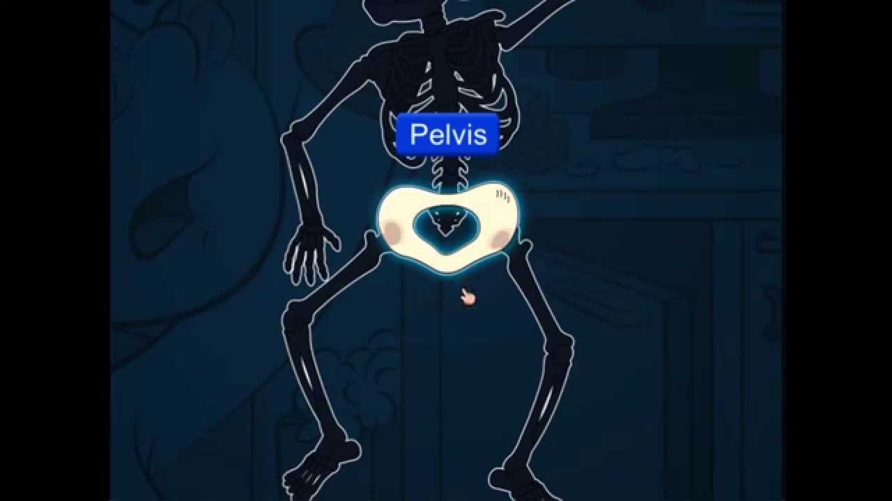 Napoleon Bone Apart on Windows and Anywhere Teacher - Fun Puzzle Game ...