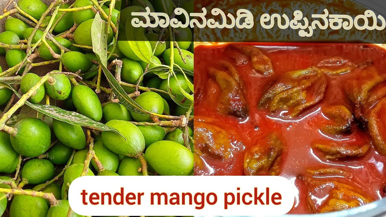 ಮಾವಿನಮಿಡಿ ಉಪ್ಪಿನಕಾಯಿ | mavina midi uppinakayi in kannada| tender mango ...