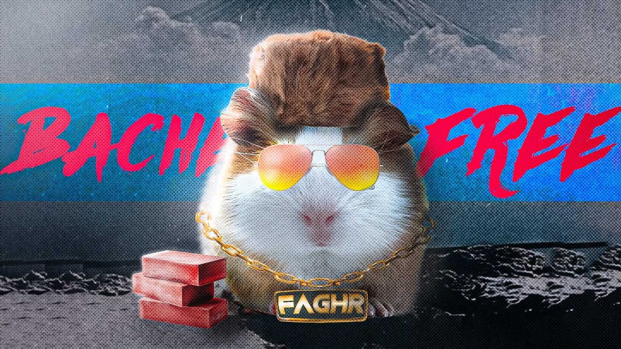 bawchelor - Bache Free (freestyle) - YouTube