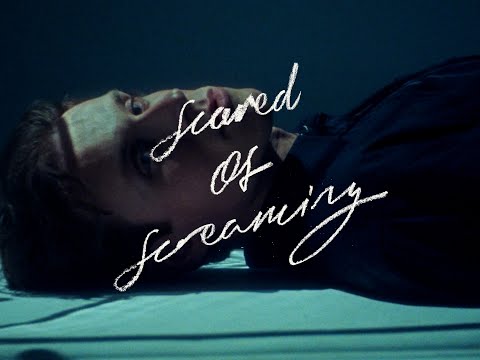 Sebastian Schub - Scared of Screaming (Lyric Video)