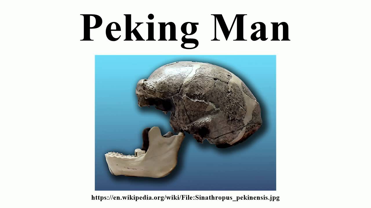 Peking Man - YouTube