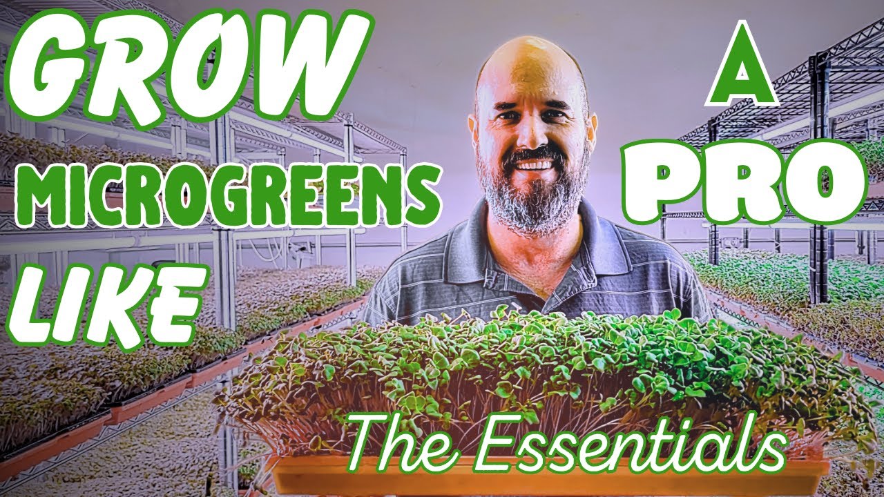 Start Growing Microgreens Like a Pro: Equipment and Setup Essentials ...