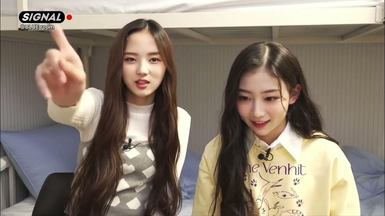 221116 트리플에스tripleS SIGNAL LIVE (카에데 지우) - YouTube