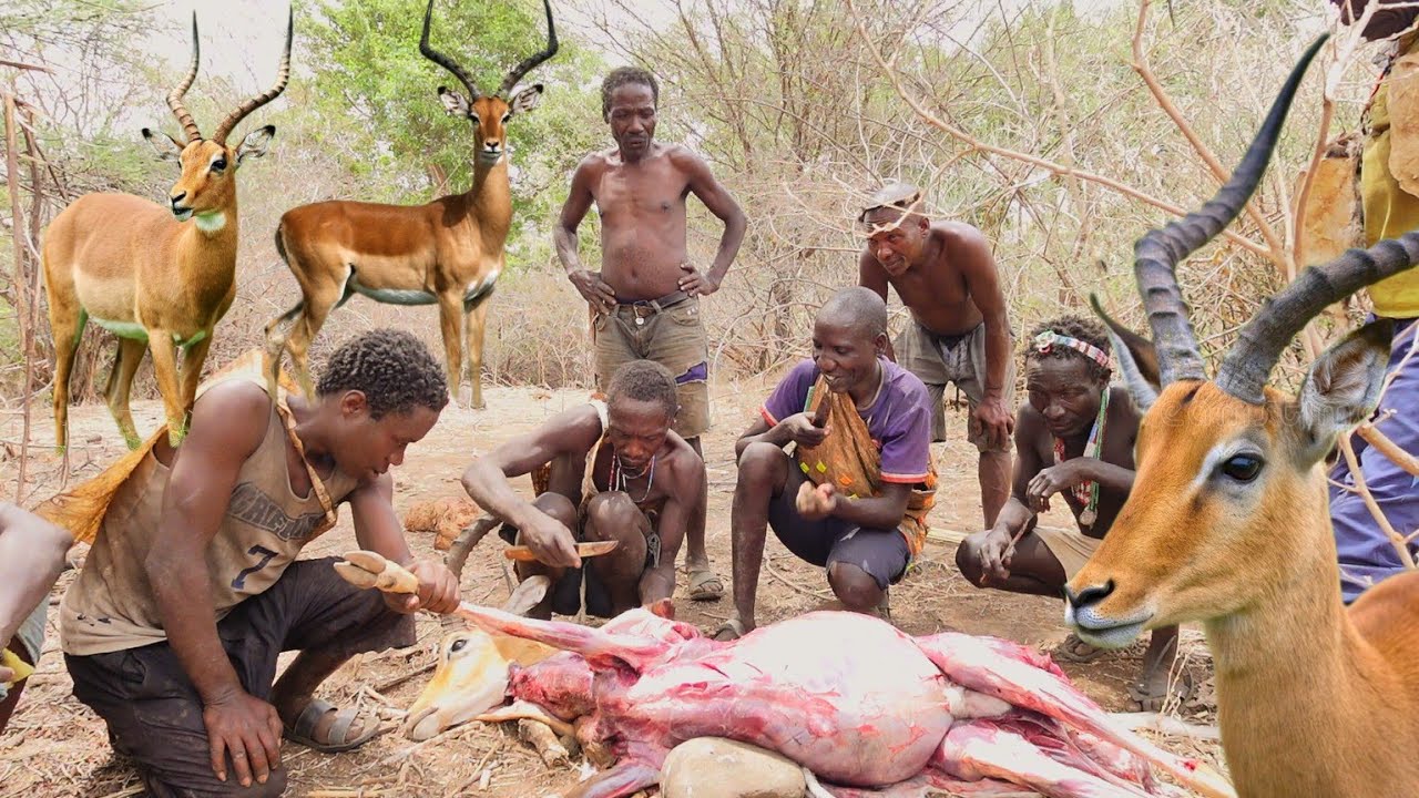 WOOW! AFRICAN INDIGENOUS HUNTERS SURVIVAL IN THE BUSH : HOW HADZABE ...