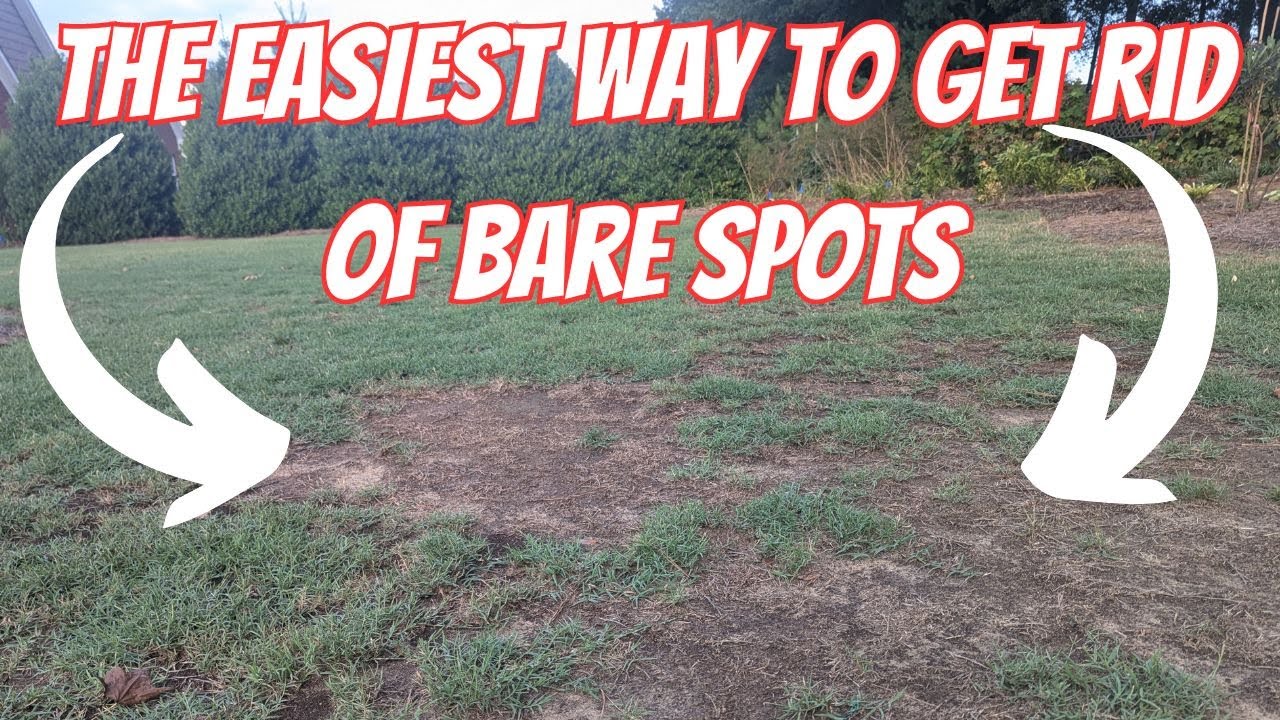 The EASIEST Way To Get Bare Spots Out of Your Yard! - YouTube