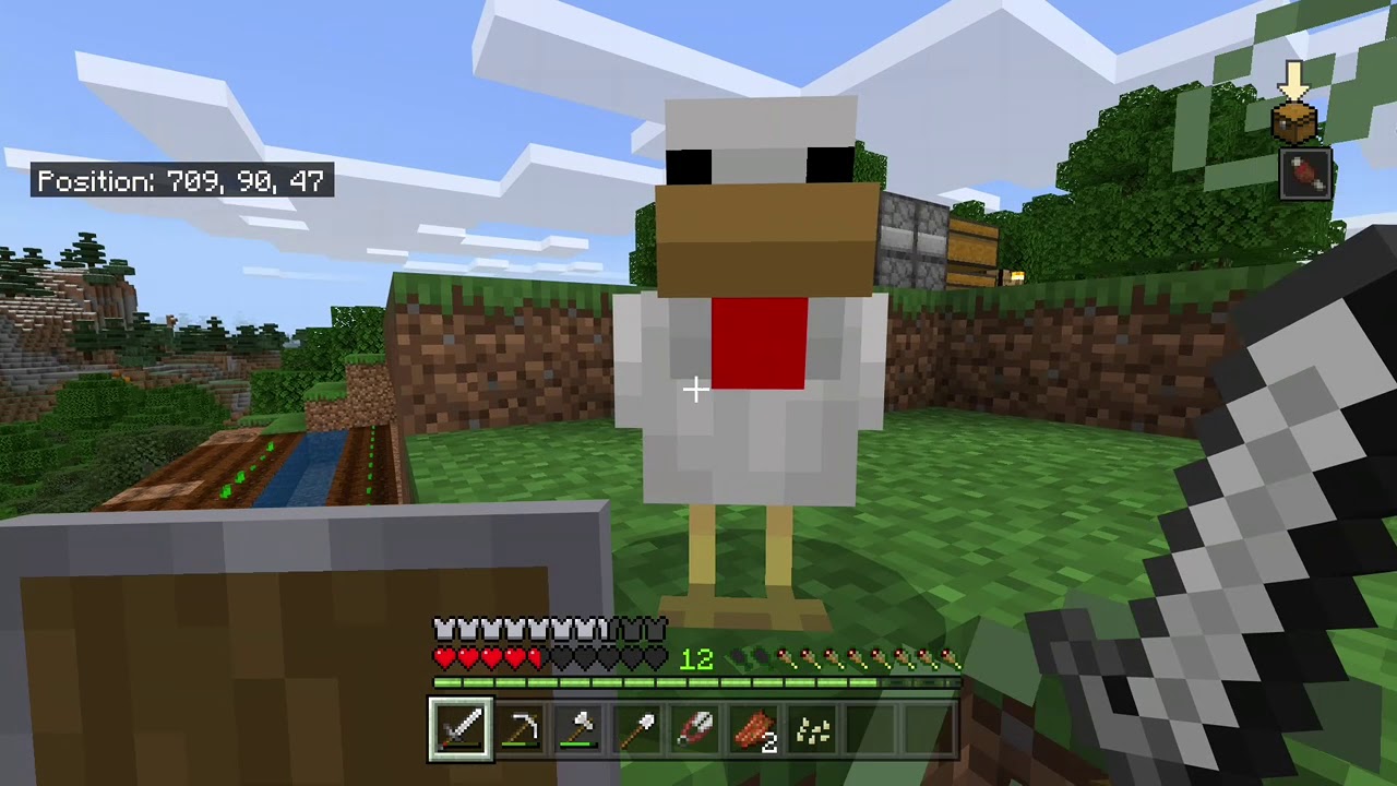 lol that chicken is traumatized - YouTube