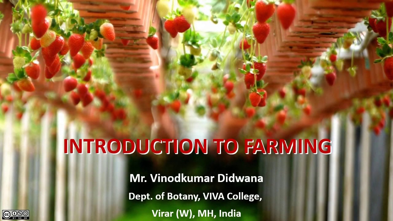 Introduction to farming - YouTube