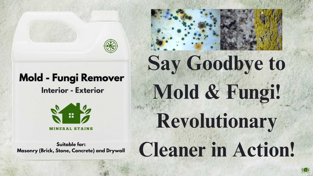 🌟 Mold & Fungi Remover 🌟 Say Goodbye to Mold & Fungi! Revolutionary ...