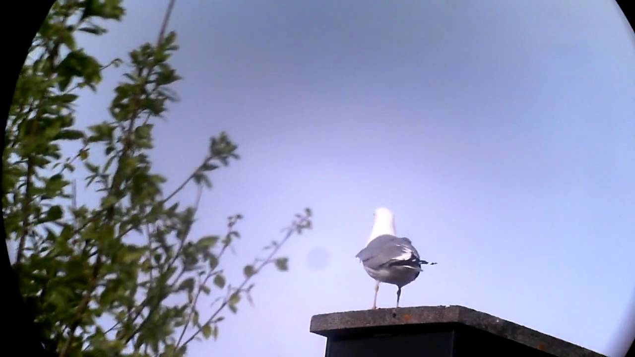 test movie with microsoft lifecam cinema - YouTube