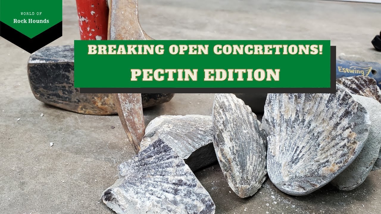 Breaking open small concretions! - YouTube