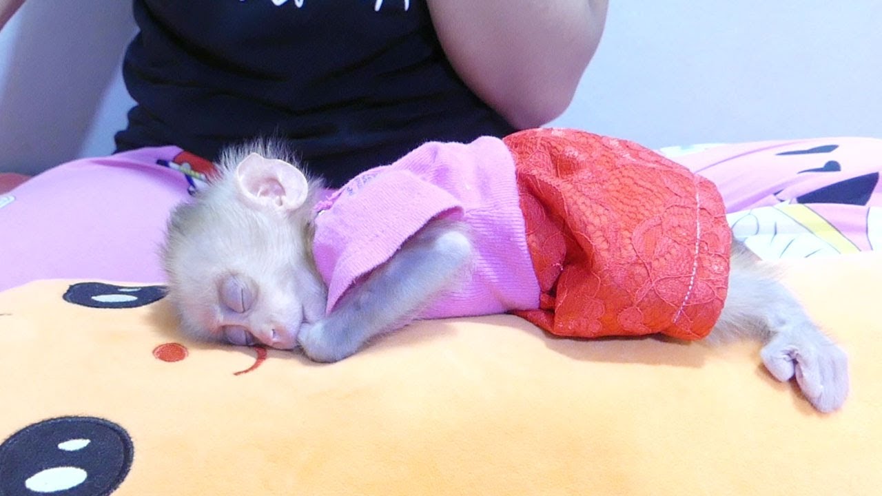 Adorable Baby Girl Elan Harmoniously Sleep Hugging Her Lovely Baby Doll ...