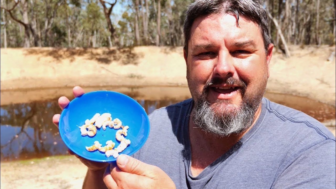 yabby catch and cook , dry fried yabbies - YouTube