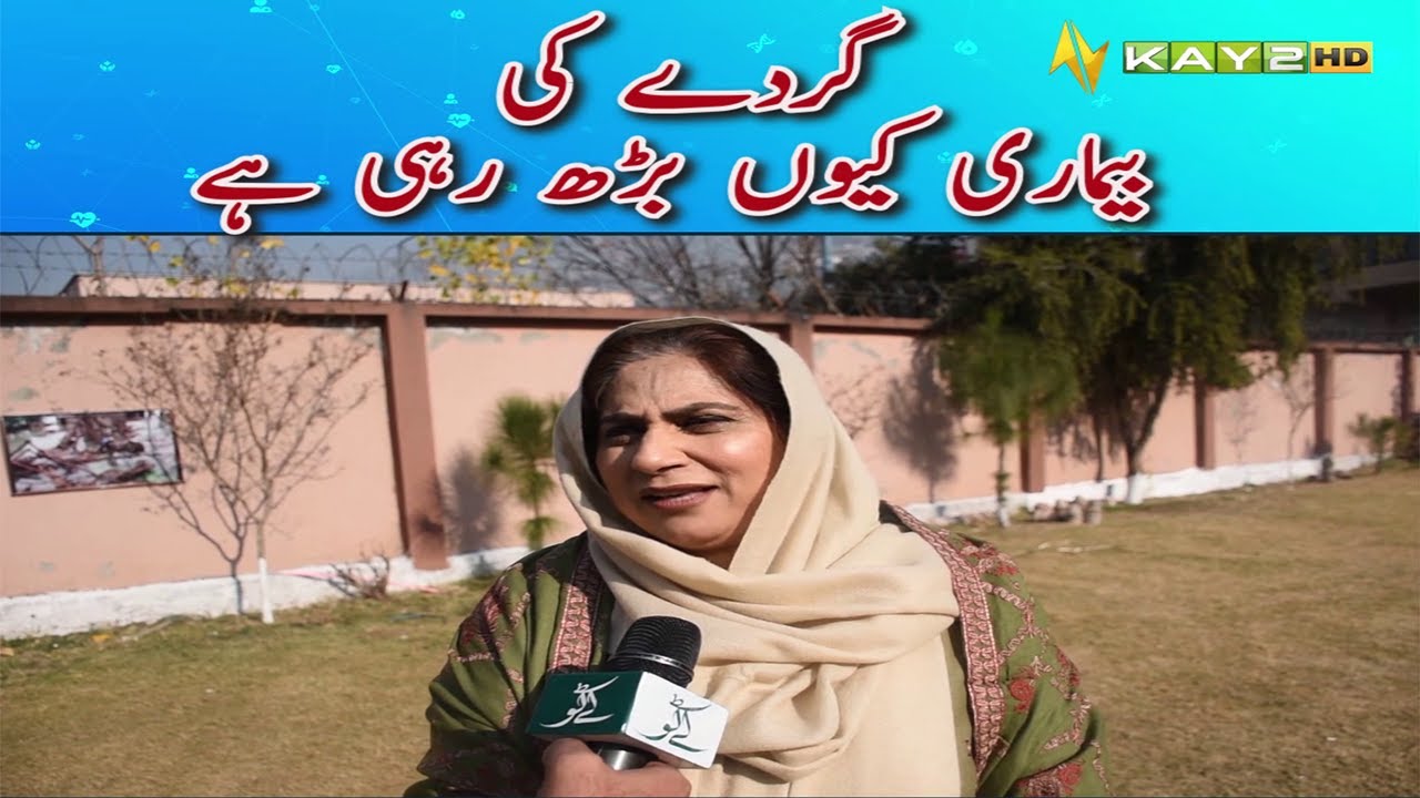 Causes of Rise in Kidney Disease | KAY2 TV - YouTube
