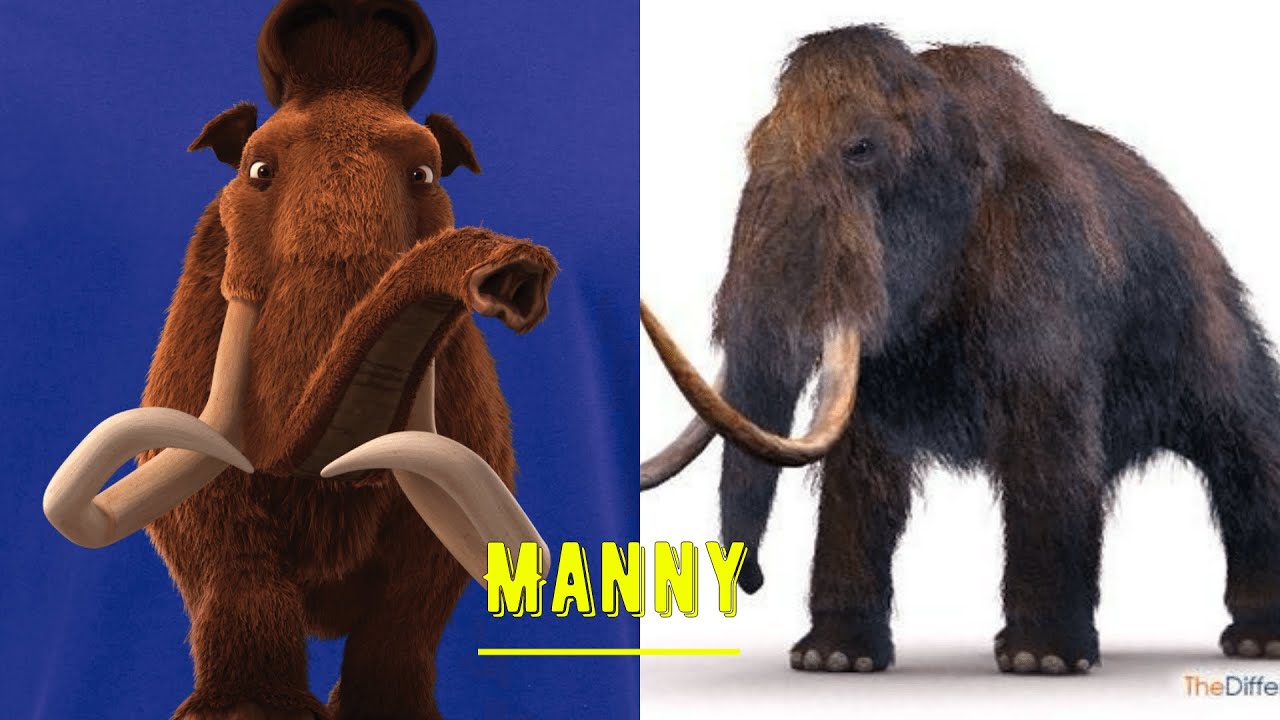 Characters Ice Age 4 In Real Life 💥 Youtube 0034