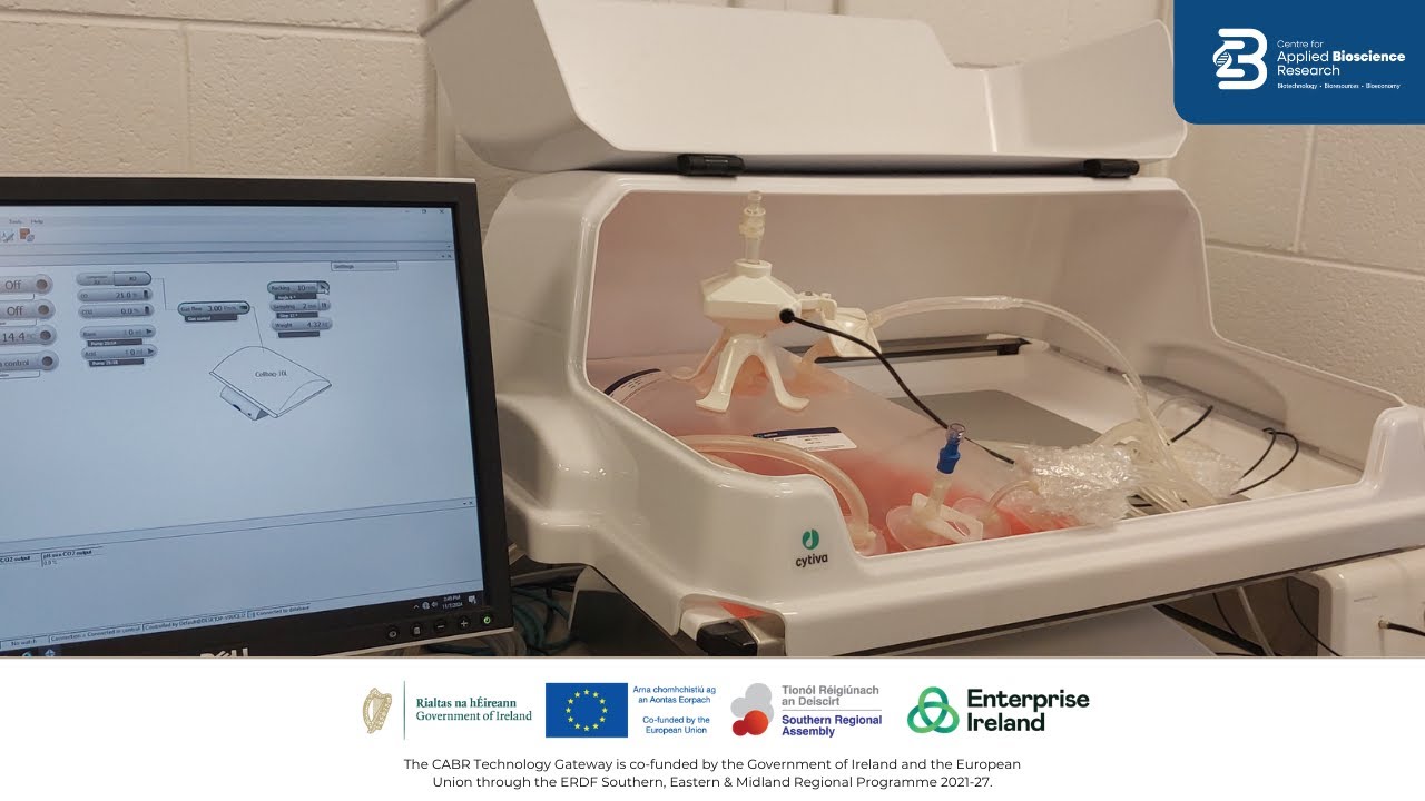 ReadyToProcess WAVE 25 Single-use Bioreactor System (CABR Equipment ...
