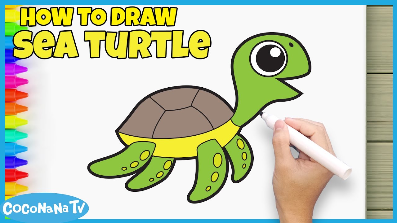 How to draw SEA TURTLE (Penyu) - COCONANA - YouTube