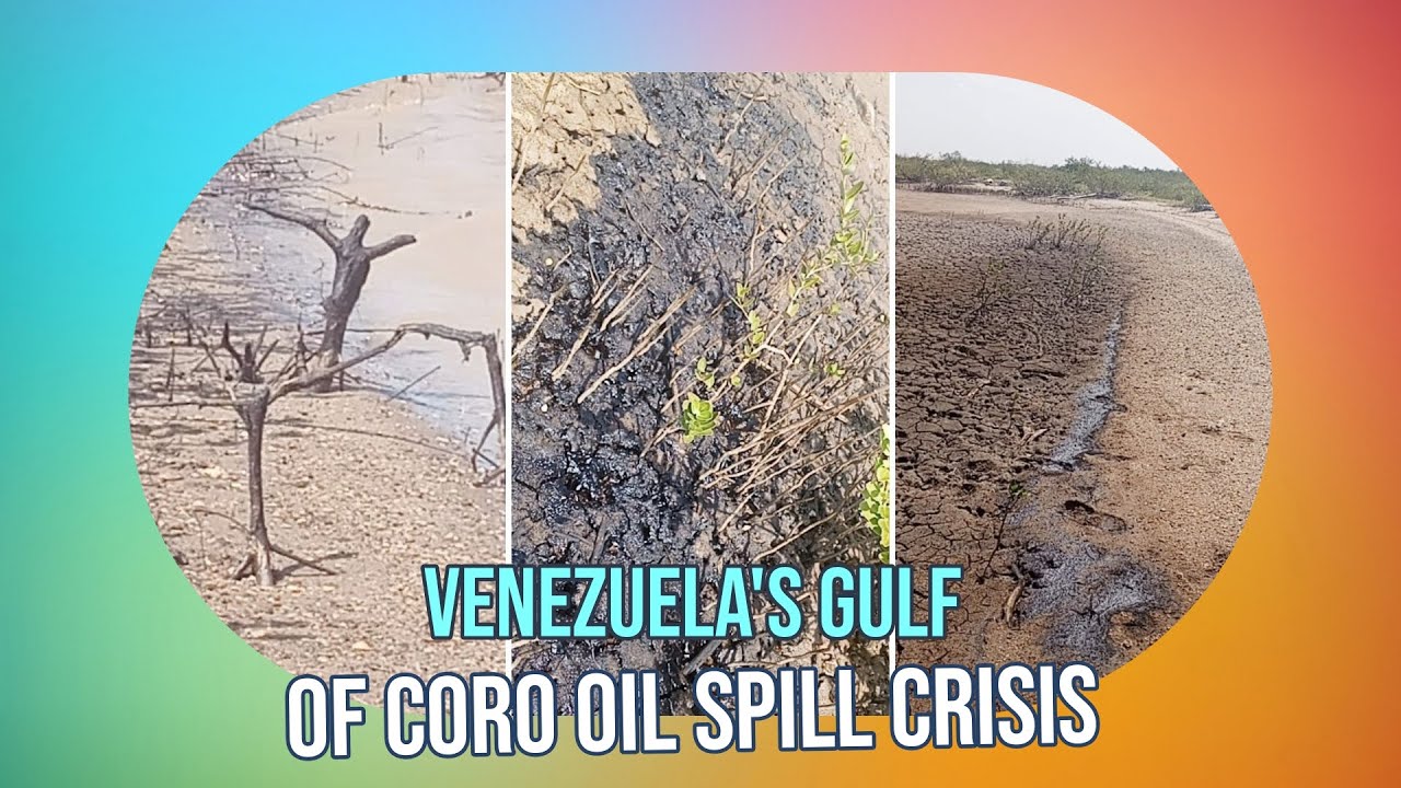 Oil Spill Watch: Venezuela's Devastating Gulf of Coro Disaster Exposed ...