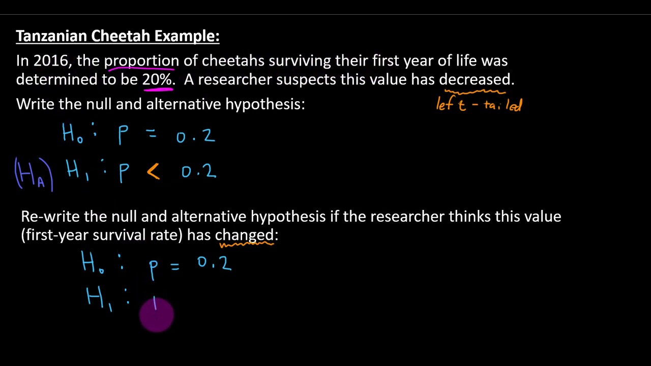 EXAMPLE: hypothesis & conclusions. (Part 4) - YouTube