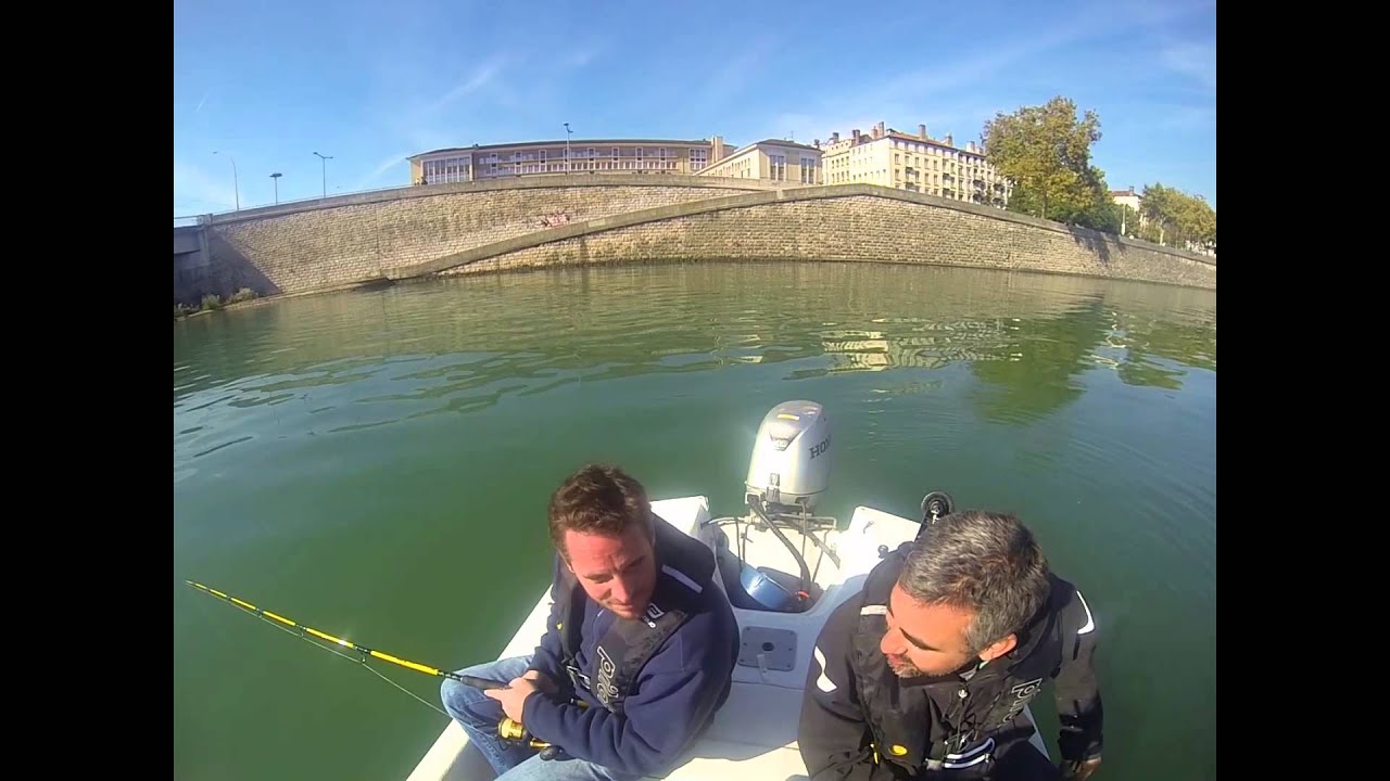 Pêche silure sur le Rhône - YouTube
