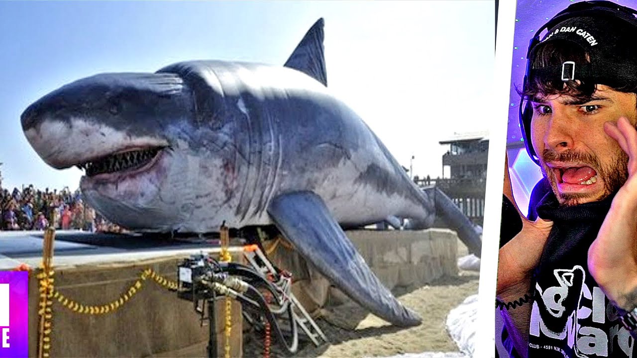 10 Megalodon Sichtungen Aufgenommen Auf Kamera - YouTube