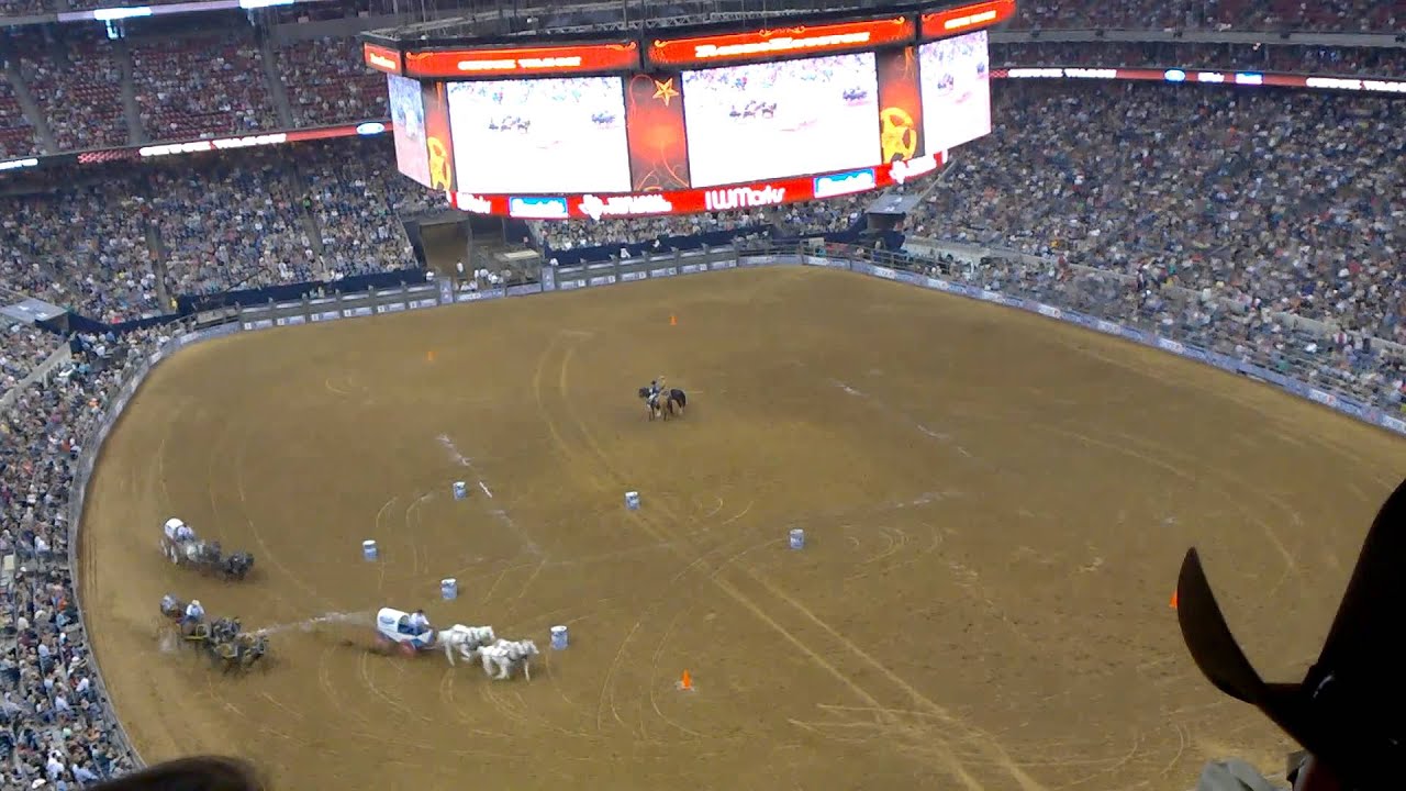 Houston Rodeo - Chariot Racing - YouTube