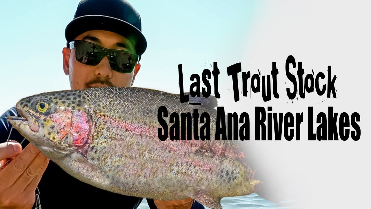 2023 LAST TROUT STOCK AT SANTA ANA RIVER LAKES | Trout fishing - YouTube