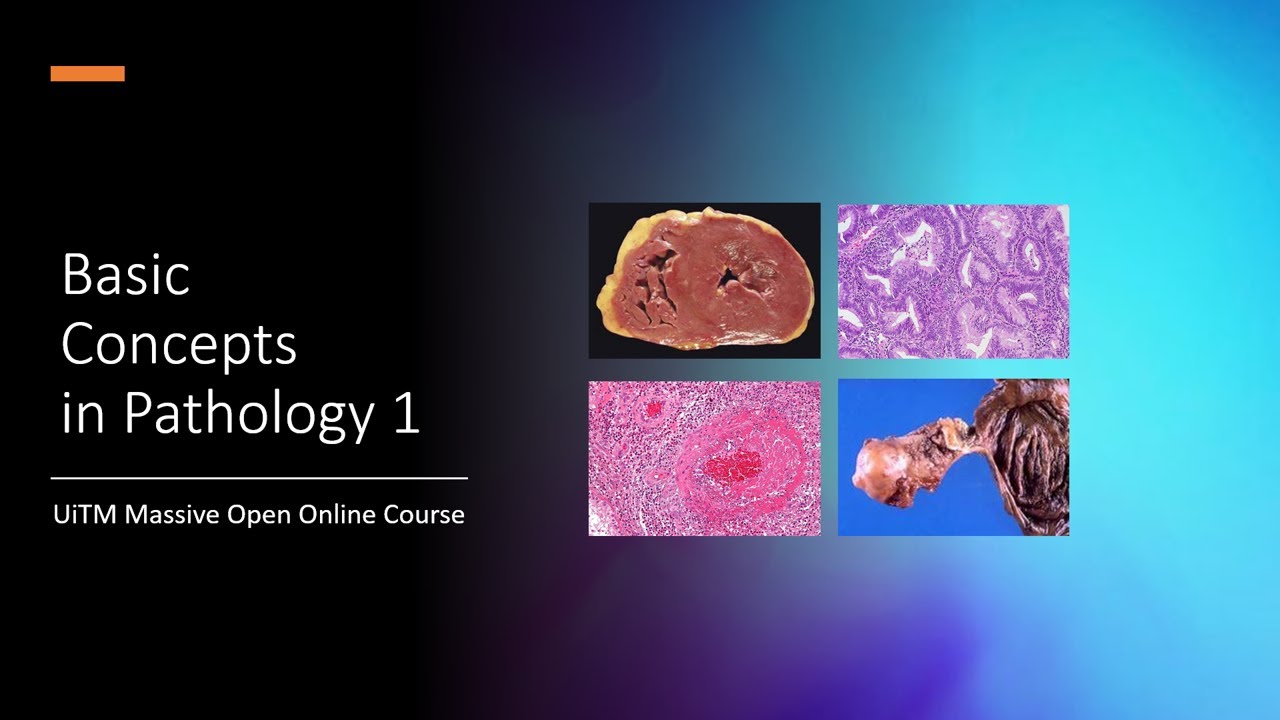 Basic Pathology 1 MOOC Intro - YouTube