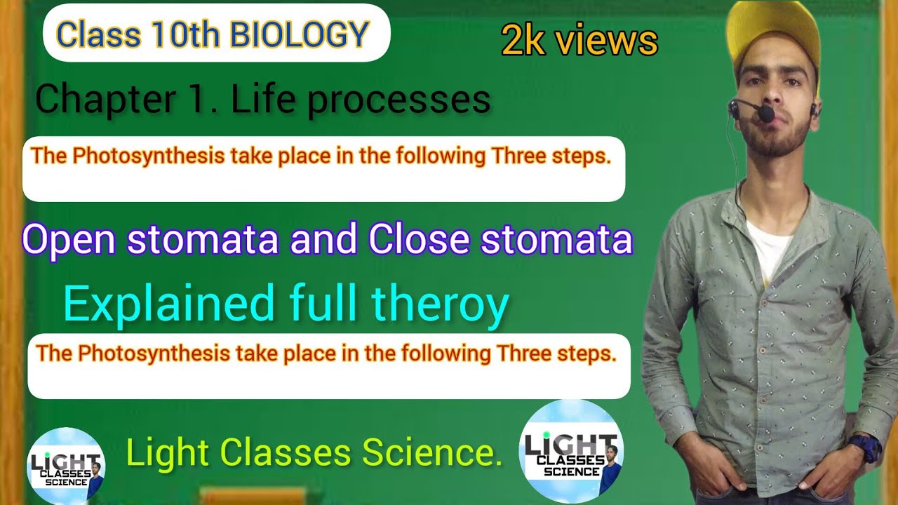 The Photosynthesis take place in the following Three steps | OPEN ...