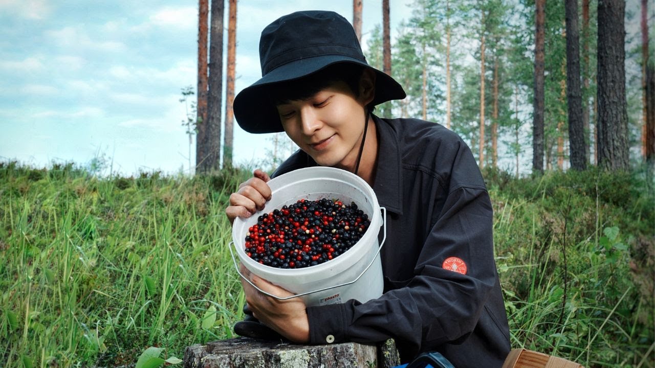 Self-Sufficiently in Finland | Harvesting Endless Wild Blueberries in ...