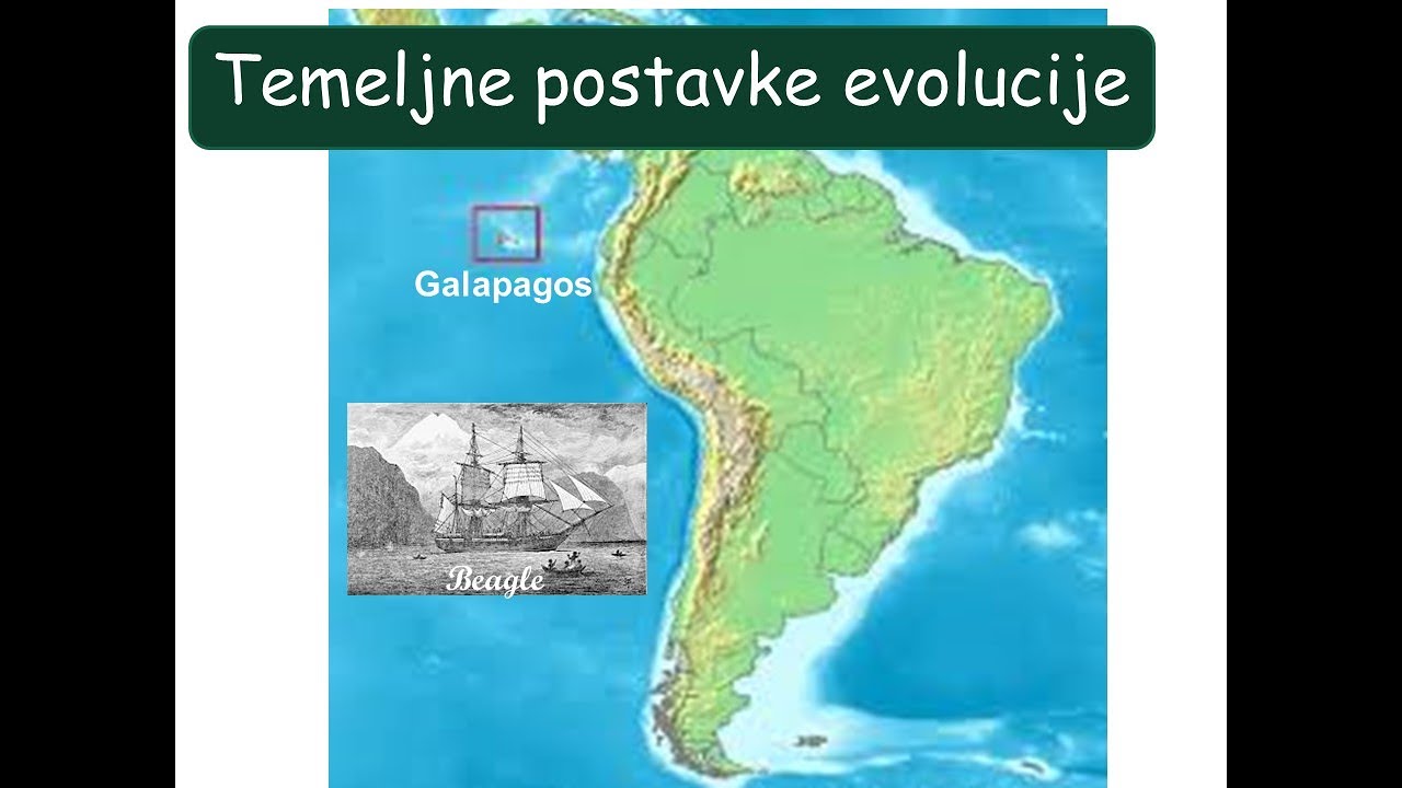 Temeljne postavke evolucije - YouTube