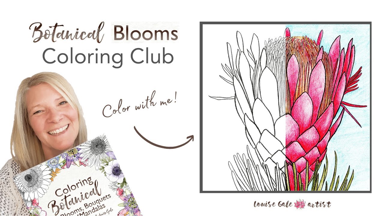 How to Color Botanical Art | Coloring Club | Protea Flower Design | For ...